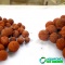 Liapor Hydroton – Clay Pebbles (Made in Germany) – AquaponicsGoGreen