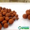 Liapor Hydroton – Clay Pebbles (Made in Germany) – AquaponicsGoGreen